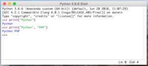 【Python入門】printで出力してみよう！