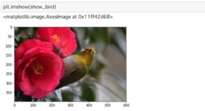 【Python】OpenCVを使ったヒストグラム – calcHist(), equalizeHist()