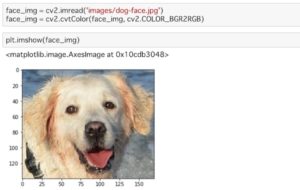 【Python】OpenCVでテンプレートマッチングで画像中の物体検出