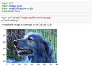 【Python】OpenCVでエッジ検出 – Canny法